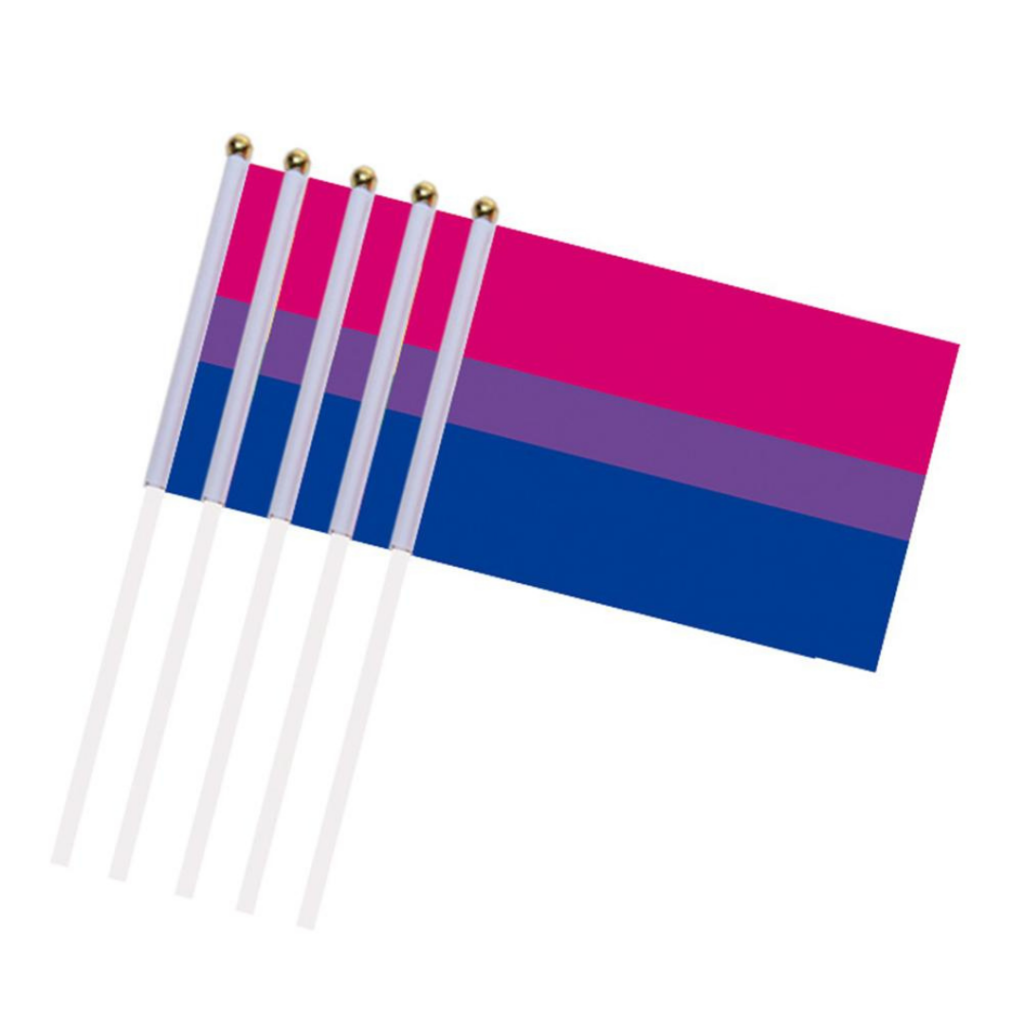 Bi Flag – Mist LGBTQ Foundation