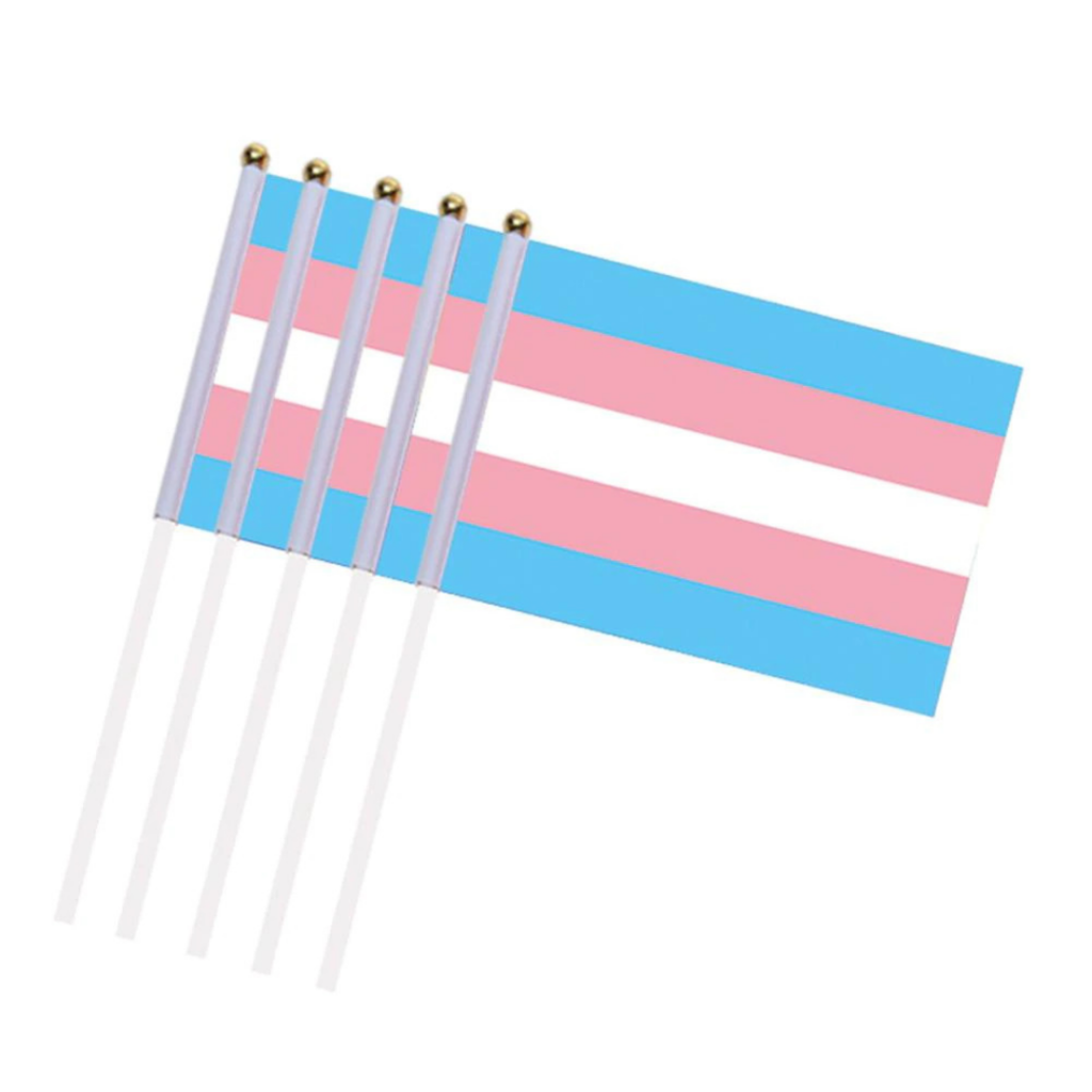Trans Flag – Mist LGBTQ Foundation