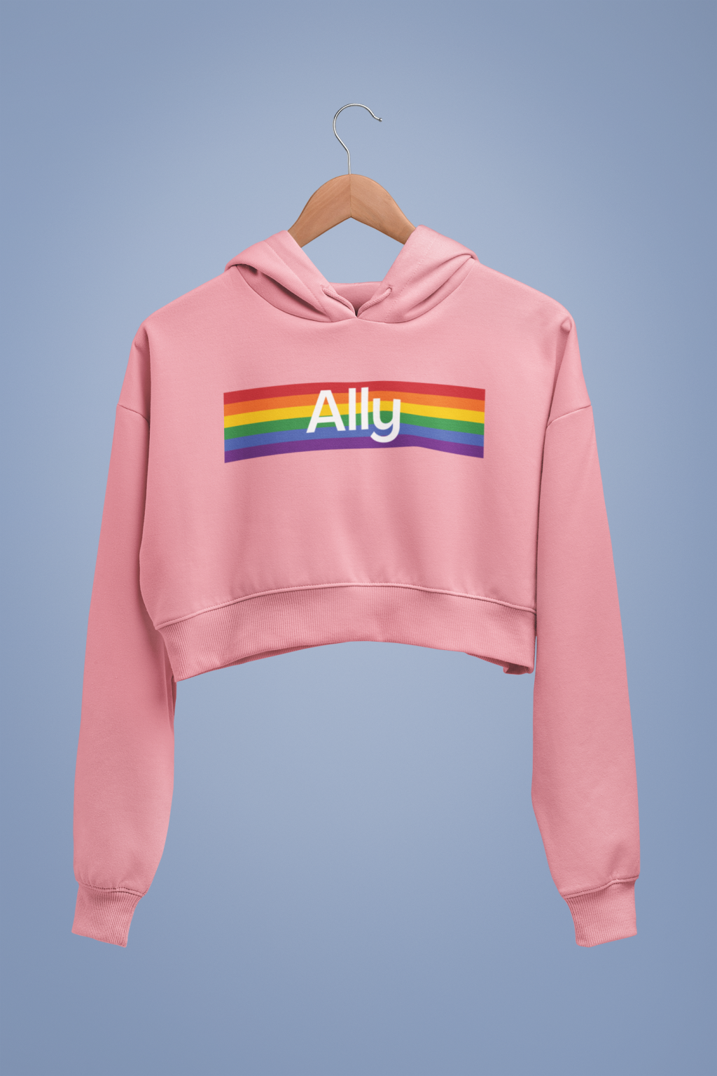 Ally Crop Hoodie – Mist LGBTQ Foundation